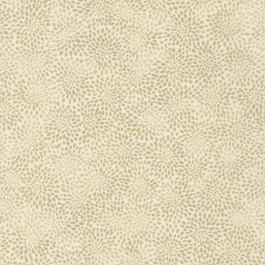 Robert Kaufman Fabric | Fusions - Extra Wide 21319-156